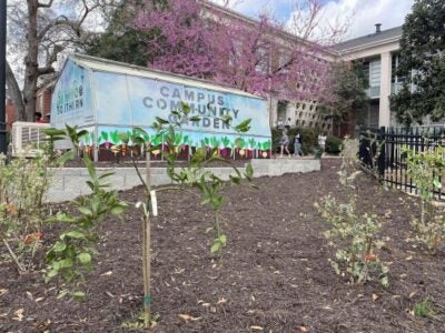 Campus Community Garden – LeadServe - Georgia Southern University