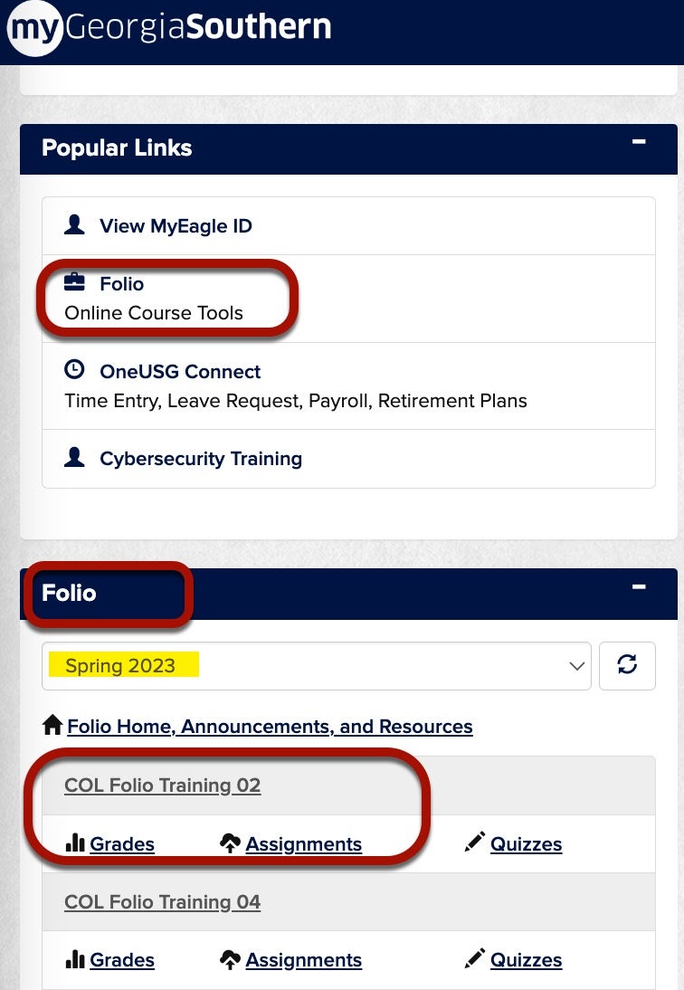 Teaching with Folio – Faculty Center - Georgia Southern University
